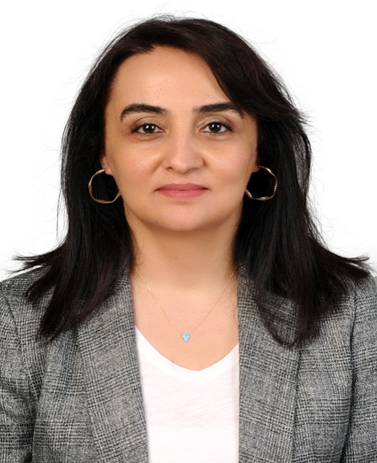 ALKÜ | Sanat, Tasarım ve Mimarlık Fakültesi